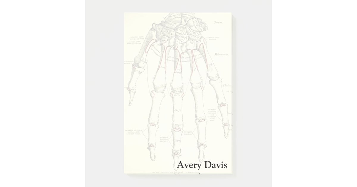 anatomie | Botten van de hand Post-it® Notes | Zazzle.nl