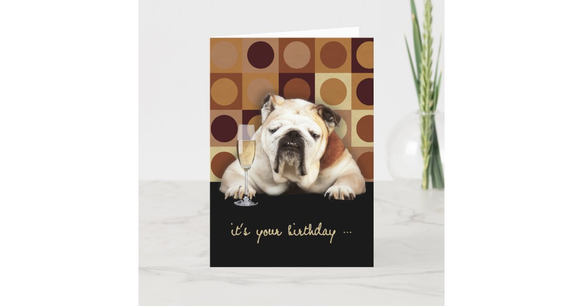 blij op de heuvel verjaardag, humor, grappige hond kaart | Zazzle.nl