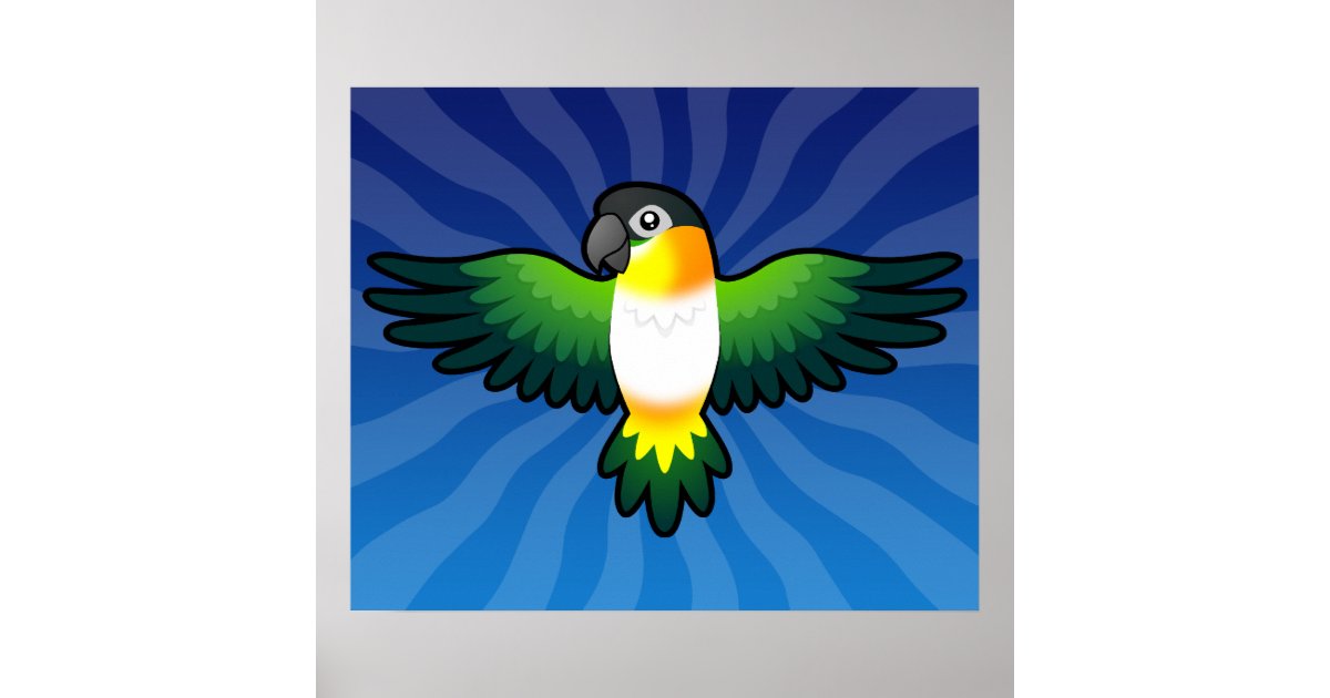 Cartoon Caïque / Lovebird / Pionus / Parrot Poster | Zazzle.nl