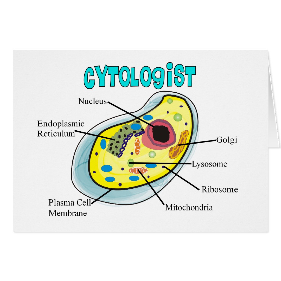 Cytoloog Human Cell Drawing Gifts | Zazzle.nl