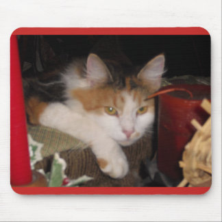 Katten Muismat en Katten Muismatten