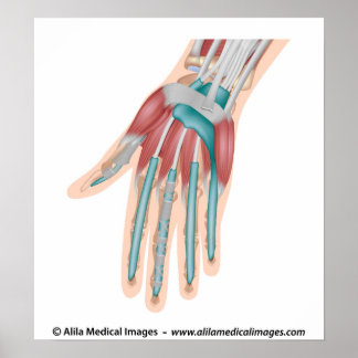 Pezen Posters, Pezen Afdrukken, Kunst Pezen Afdrukken