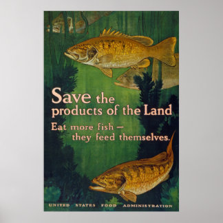 Vissen Posters, Vissen Afdrukken, Kunst Vissen Afdrukken