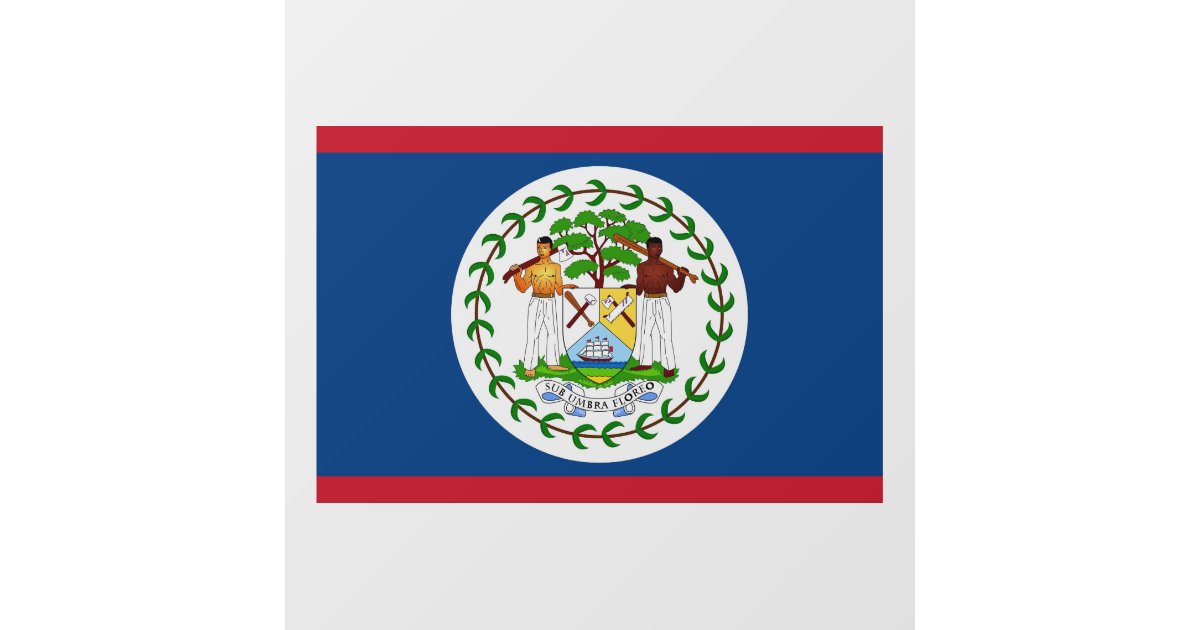 Floor Decal met vlag van Belize Vloersticker | Zazzle.nl
