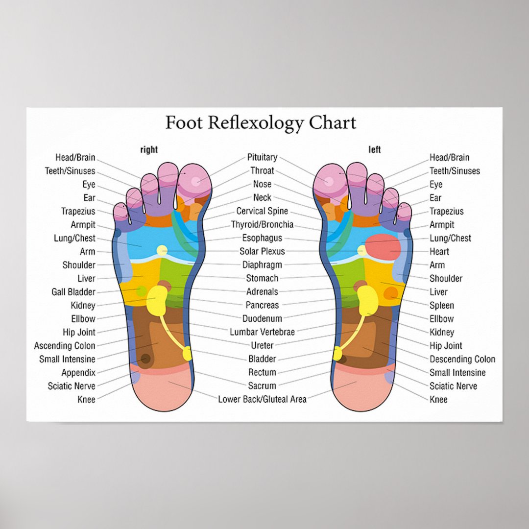 Foot Reflexology 18x12" Poster | Zazzle.nl