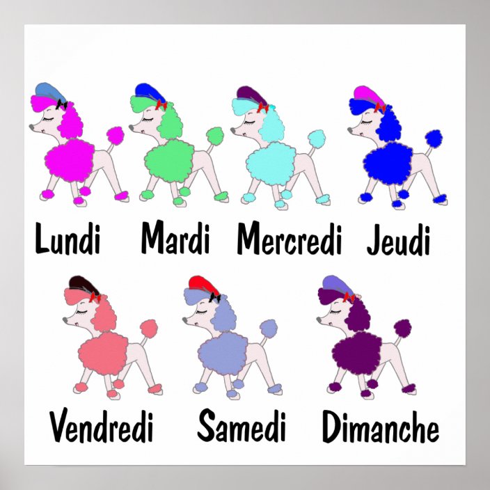 Franse dagen van de week poster | Zazzle.nl