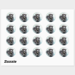 Grappige aanstootgevende chimpansee middelvinger ronde sticker | Zazzle.nl