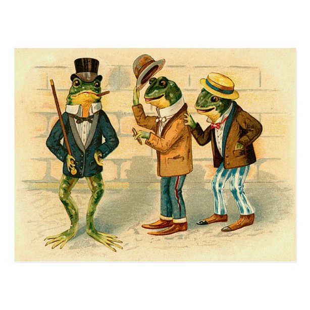 Grappige Kikker Cadeaus | Zazzle.nl