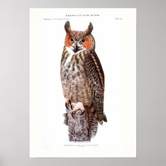 Gepersonaliseerde Uil posters en afdrukken | Zazzle.nl