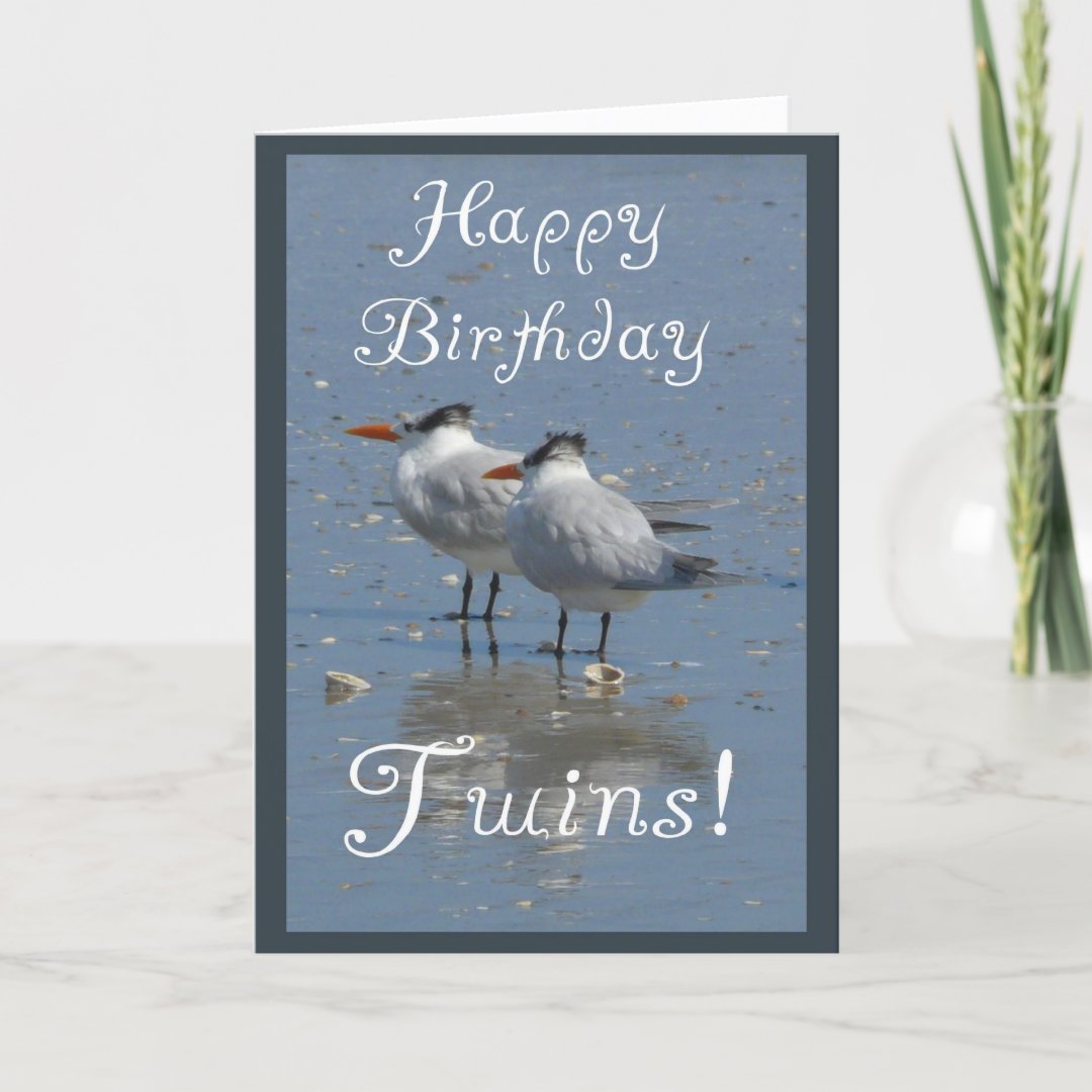 Happy Birthday Twins!-Twee identieke vogels op str Kaart | Zazzle.nl