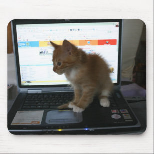 Katten Muismatten | Zazzle.nl