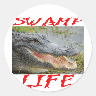 Karper Stickers | Zazzle.nl