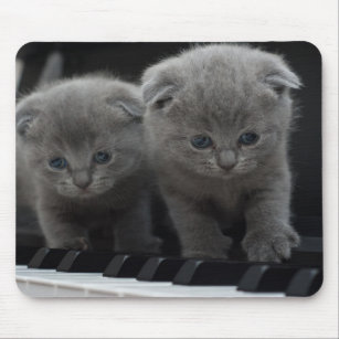 Katten Muismatten | Zazzle.nl