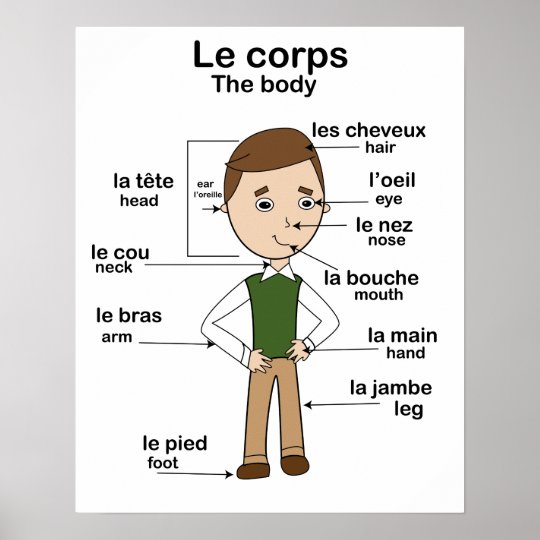 Le corps the body French English Educational Poster | Zazzle.nl