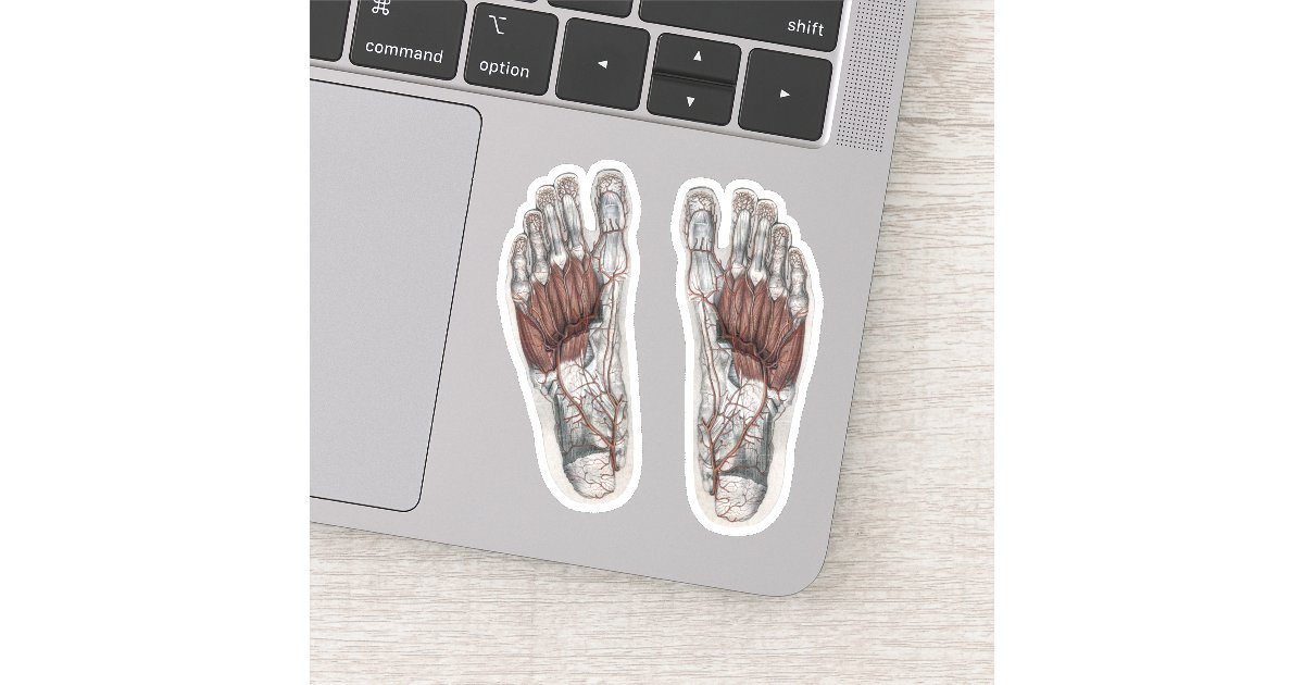 menselijke anatomie Voetafdruk podiatry Foot Sticker | Zazzle.nl