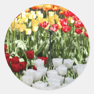 Tulpen Stickers | Zazzle.nl