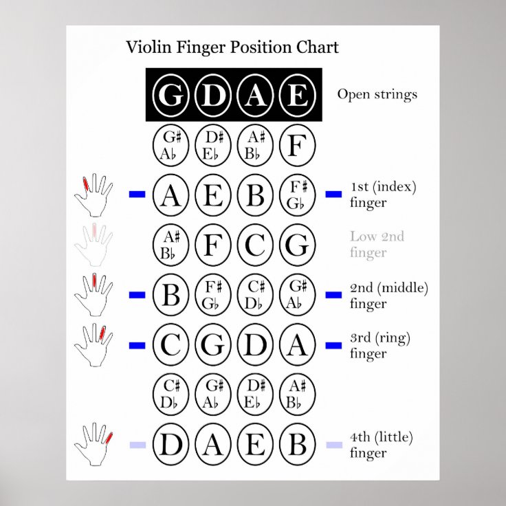 Musical Violin First Position Finger Chart Poster | Zazzle.nl