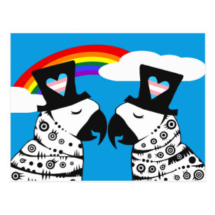 Transgender Cadeaus | Zazzle.nl