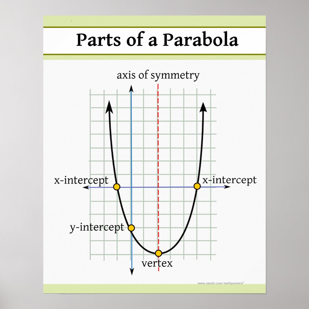 Quadratische functie: Delen van een parabool Poster | Zazzle.nl