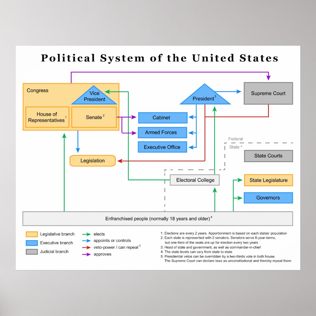 Schema van het Amerikaanse politieke systeem Poster | Zazzle.nl