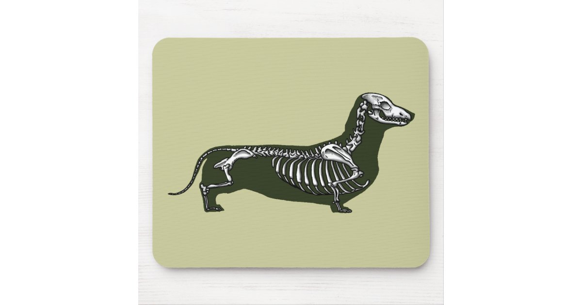 skelet van dachshund muismat | Zazzle.nl