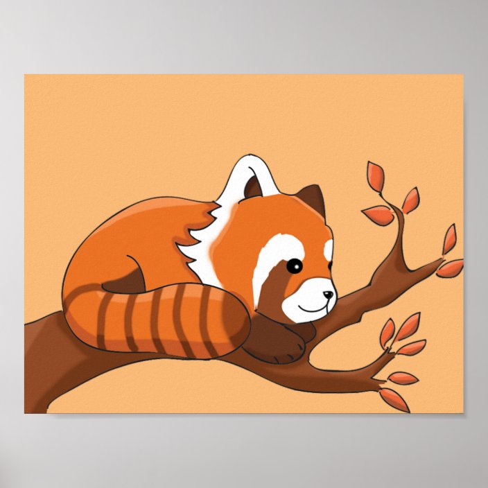 Tekening van de Rode Panda in de boom Poster | Zazzle.nl