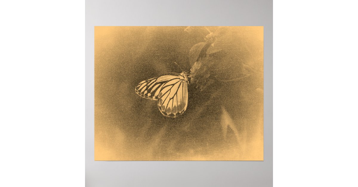 vlinder op ventilatorPosters Poster | Zazzle.nl